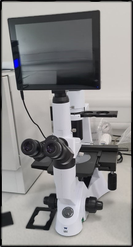 Microbial Culture and Characterisation Facility | Molecular & Nanoscale ...