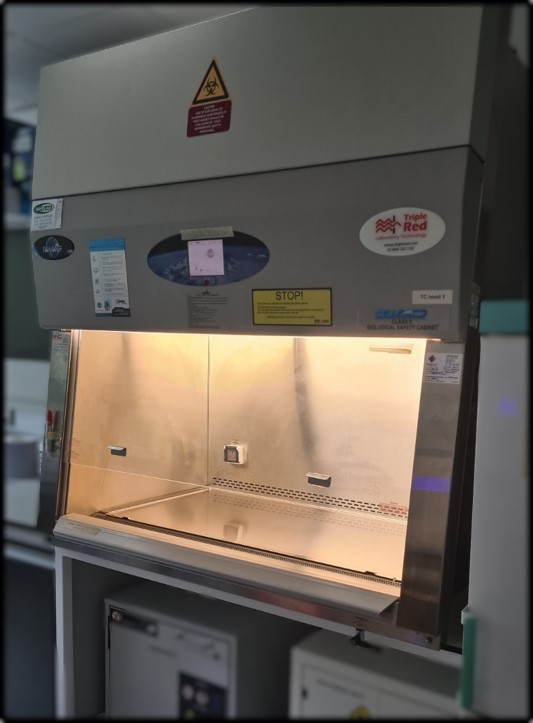 Tissue Culture Lab | Molecular & Nanoscale Physics Research Group